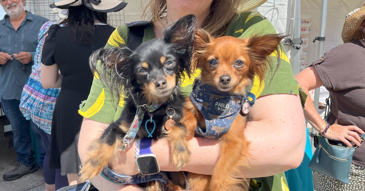 Fur Babies Welcome | St Kilda Esplanade Market
