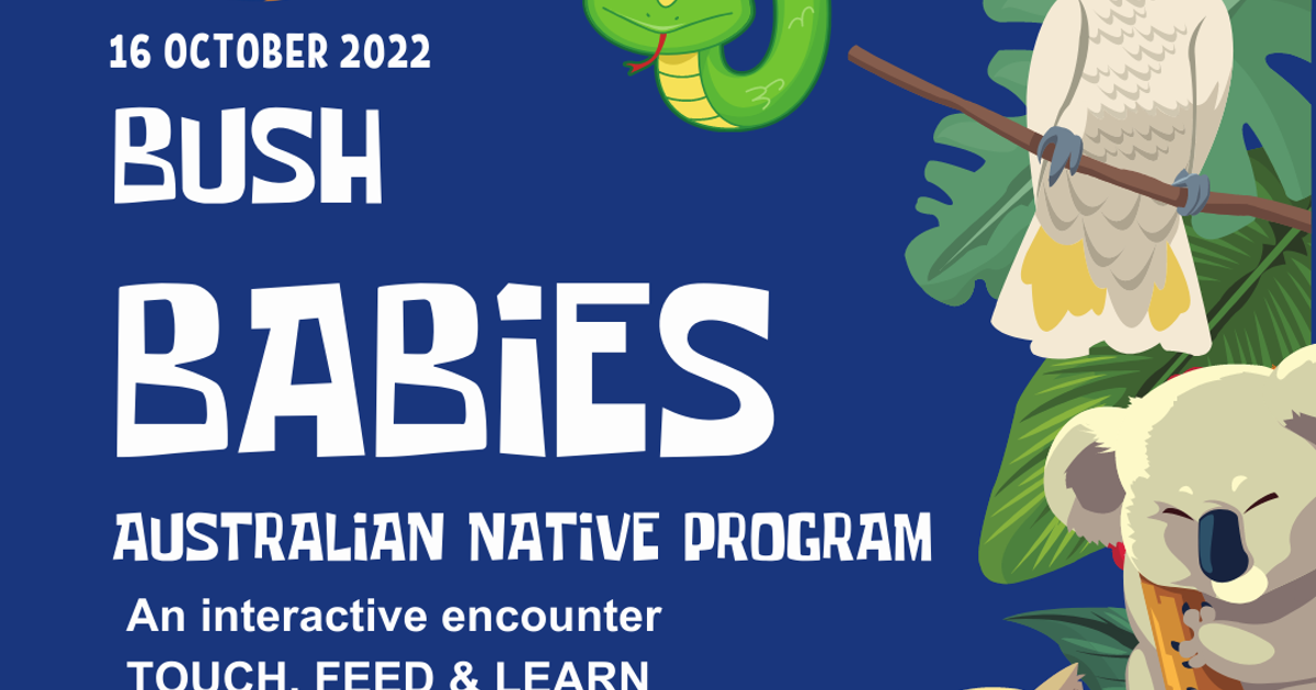 BUSH BABIES - AUSTRALIAN NATIVE PROGRAM | St Kilda Esplanade Market
